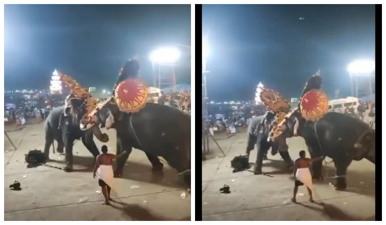 Watch | Scary! Elephants fight at Kerala temple, many people hurt in stampede-like rush- The Week